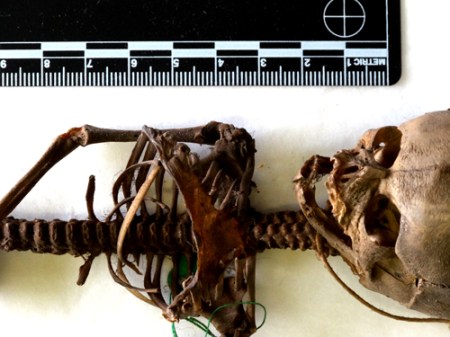 Atacama ‘alien’ mystery is no mystery | Zygoma